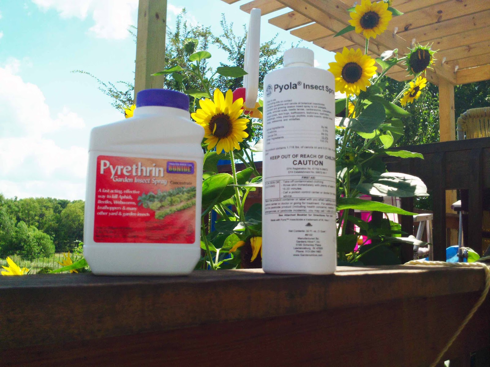 Fitzpatrick Farm: Organic Pest control