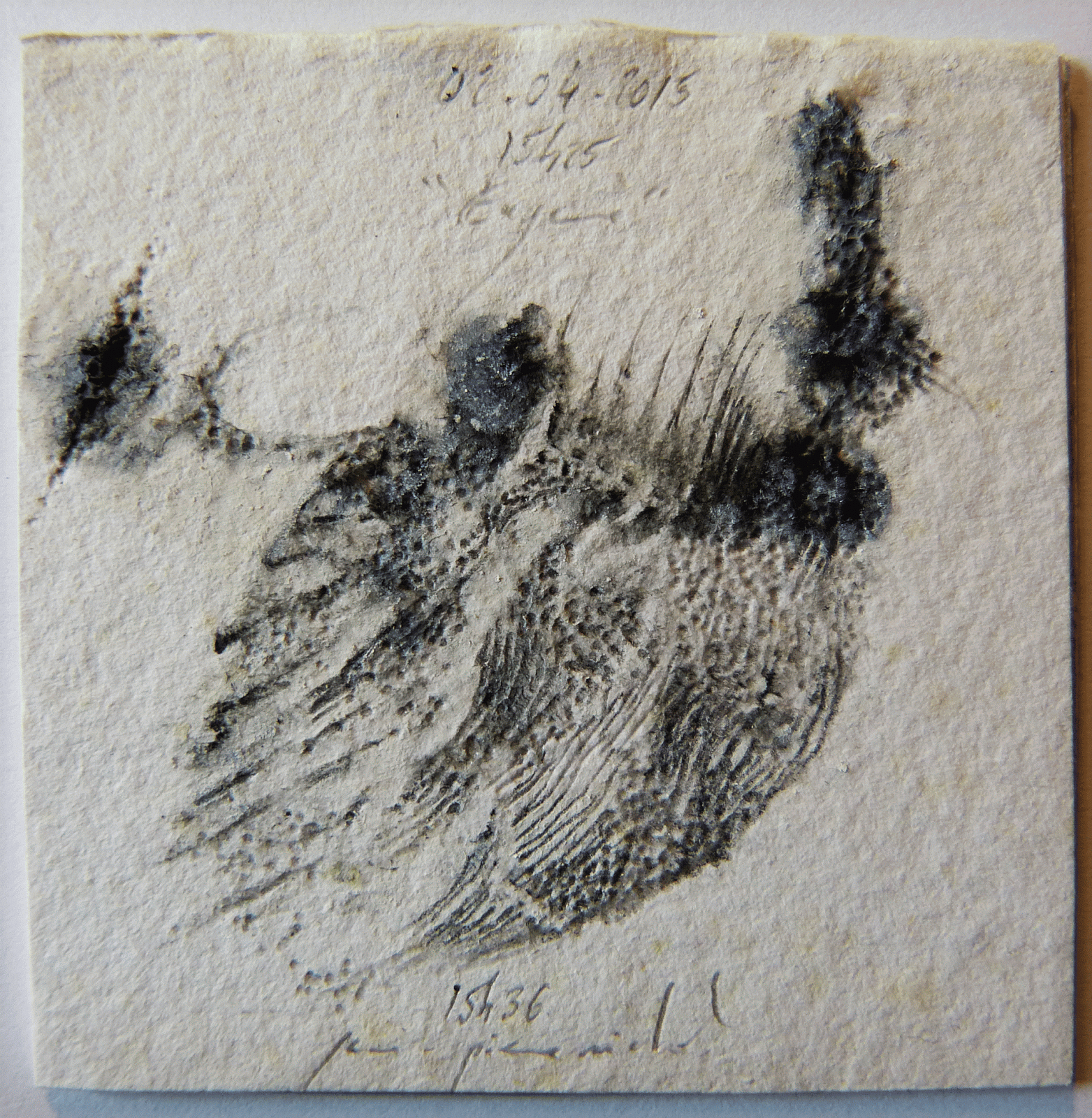 jean-pierre richard artiste : trois 5,5/5,5 cms avec Sufjan Stevens 02 ...