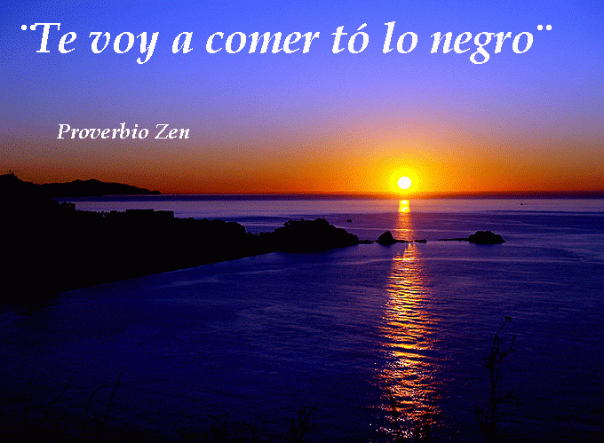 La Doctora Kiwi: Proverbio zen