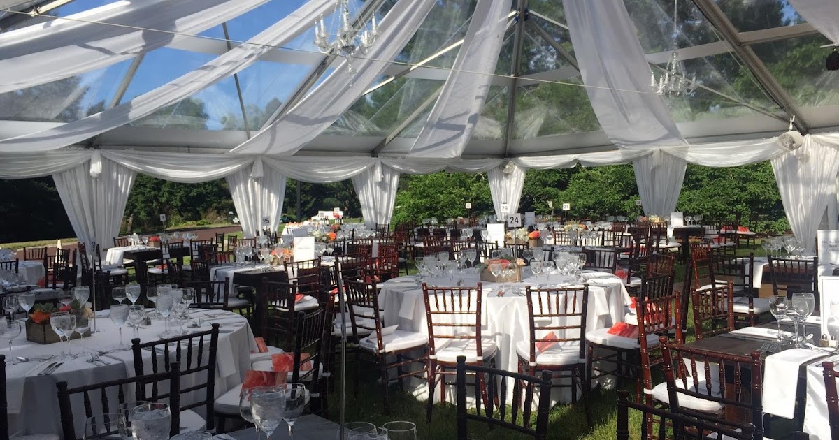 JANIS NOWLAN BAND "The Most Unforgettable Dance Party Of Your Life"