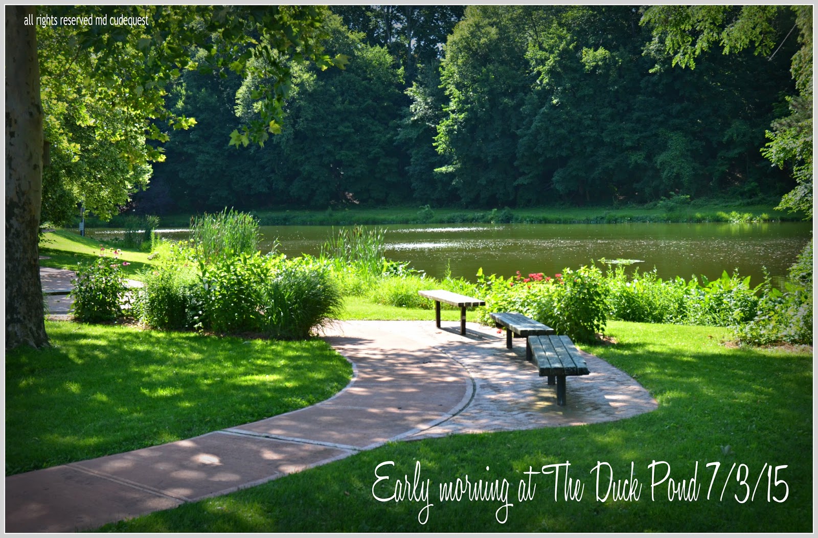 EverythingCroton: 2015: JULY 4TH WEEKEND @ THE CROTON DUCK POND