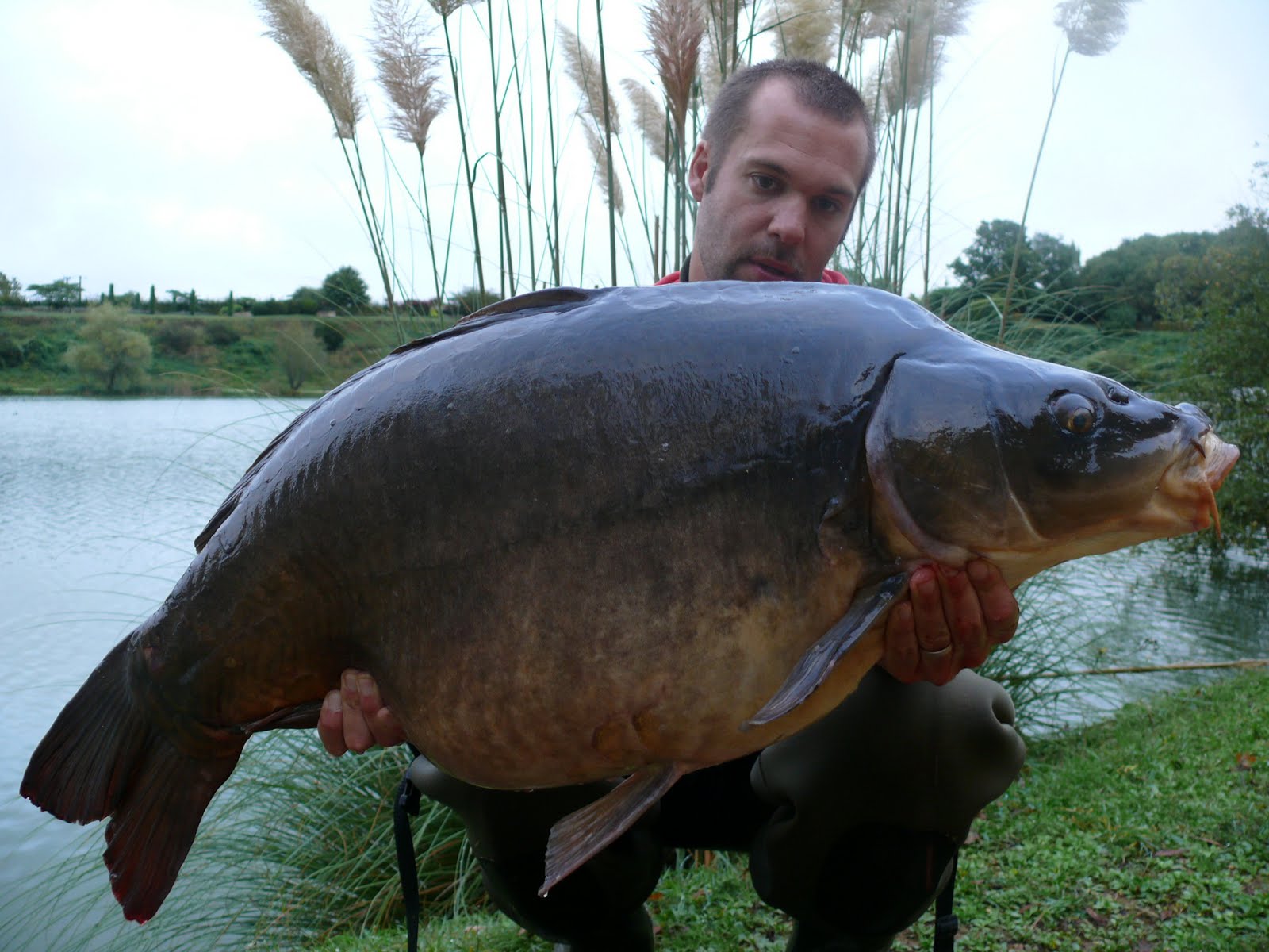 Jerome Herve Blogs: Gros poisson au programme