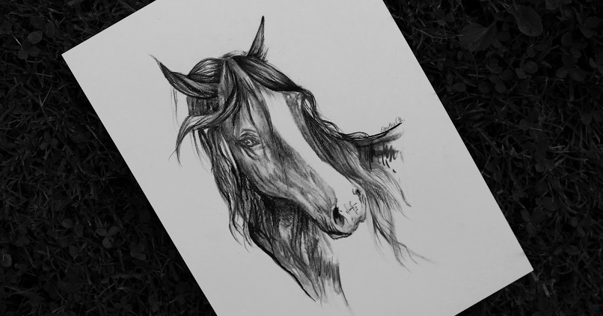 Koń- rysunek hiperrealistyczny węglem | Emilia Chlipała- blog o rysowaniu