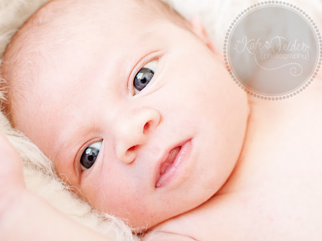 KFP Client Gallery: Newborn Jet