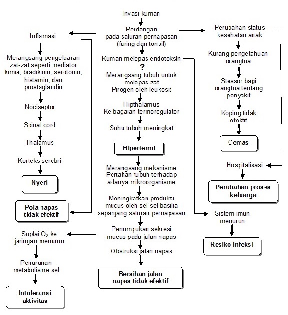 Erwin Amaterasu : Patofisiologi Ispa