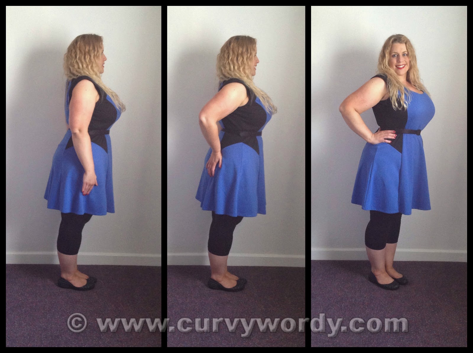 Pink Clove Colour Block Dress - Curvy Wordy