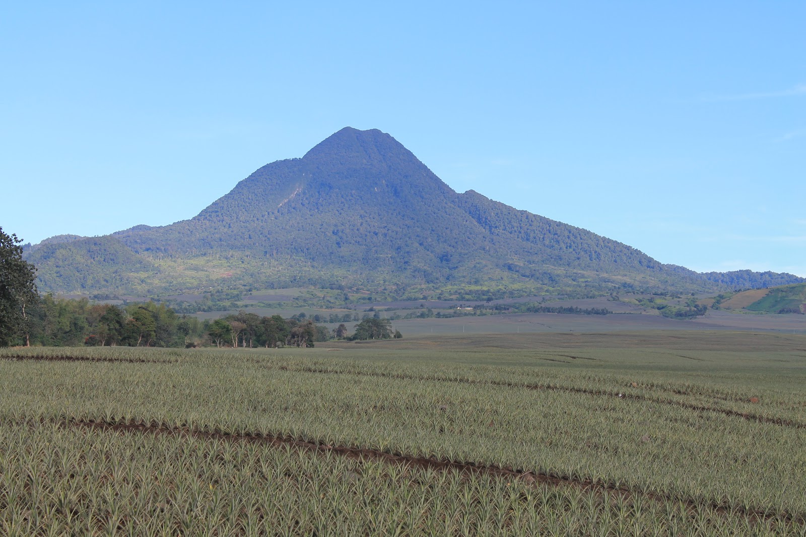 MATUTUM FOR MUNICIPALITY MOVEMENT: 2012