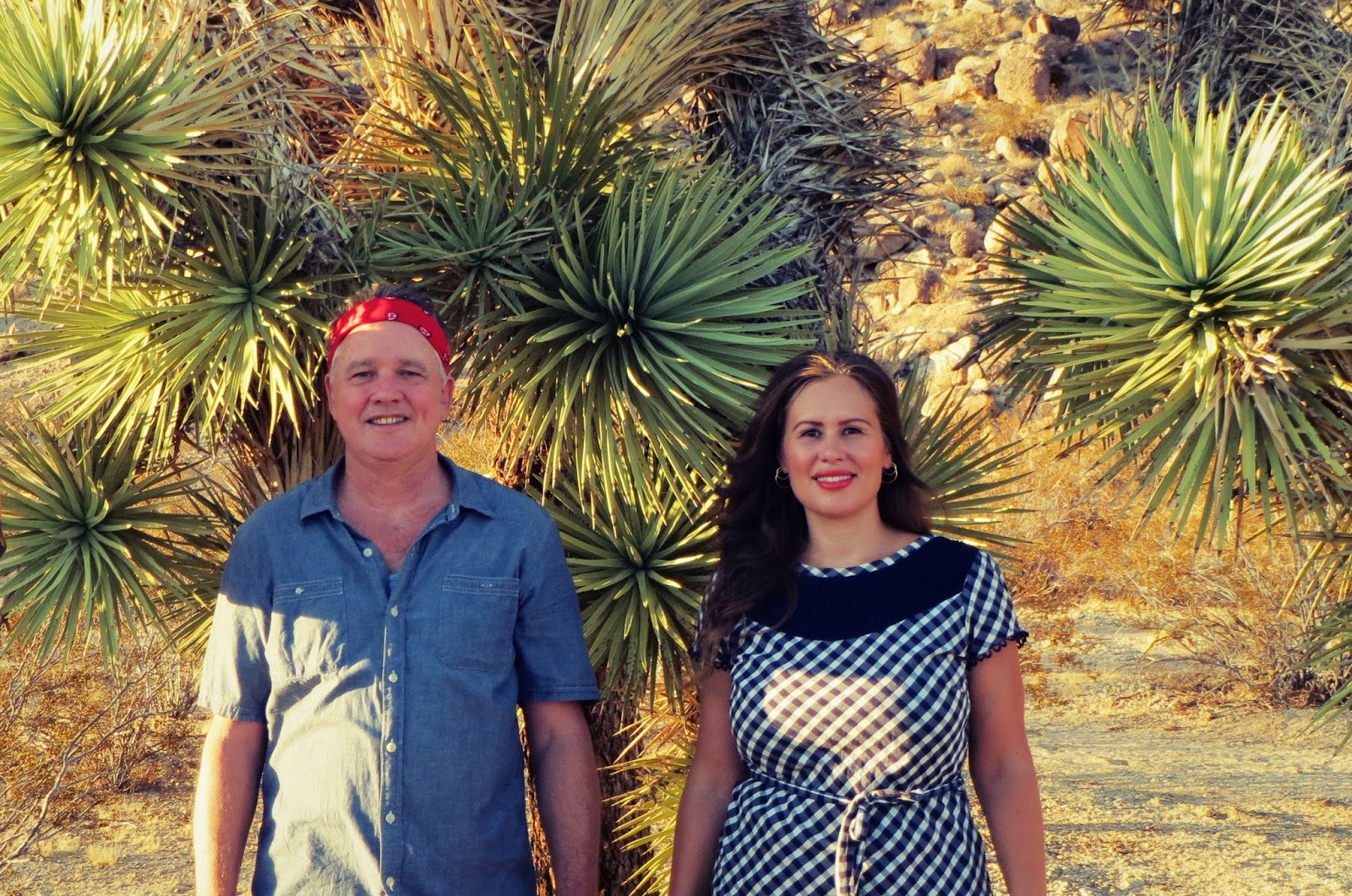 HiSTéRiCaS GrabacioneS: Mark Olson - Good-bye Lizelle (2014 ...