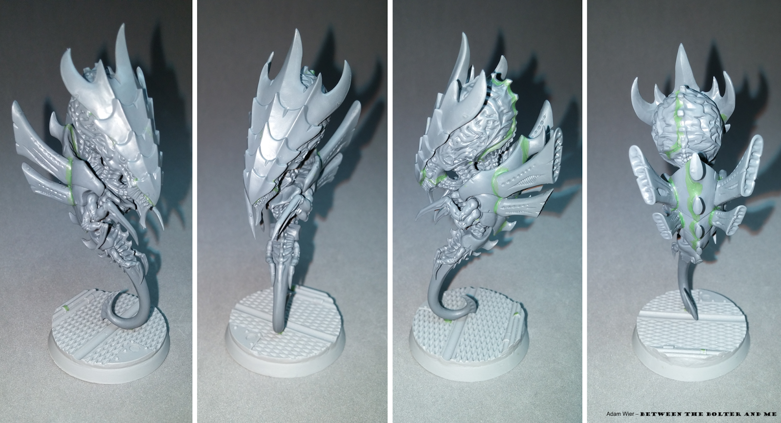 Between the Bolter and Me: The Evolution of the Tyranid Zoanthrope