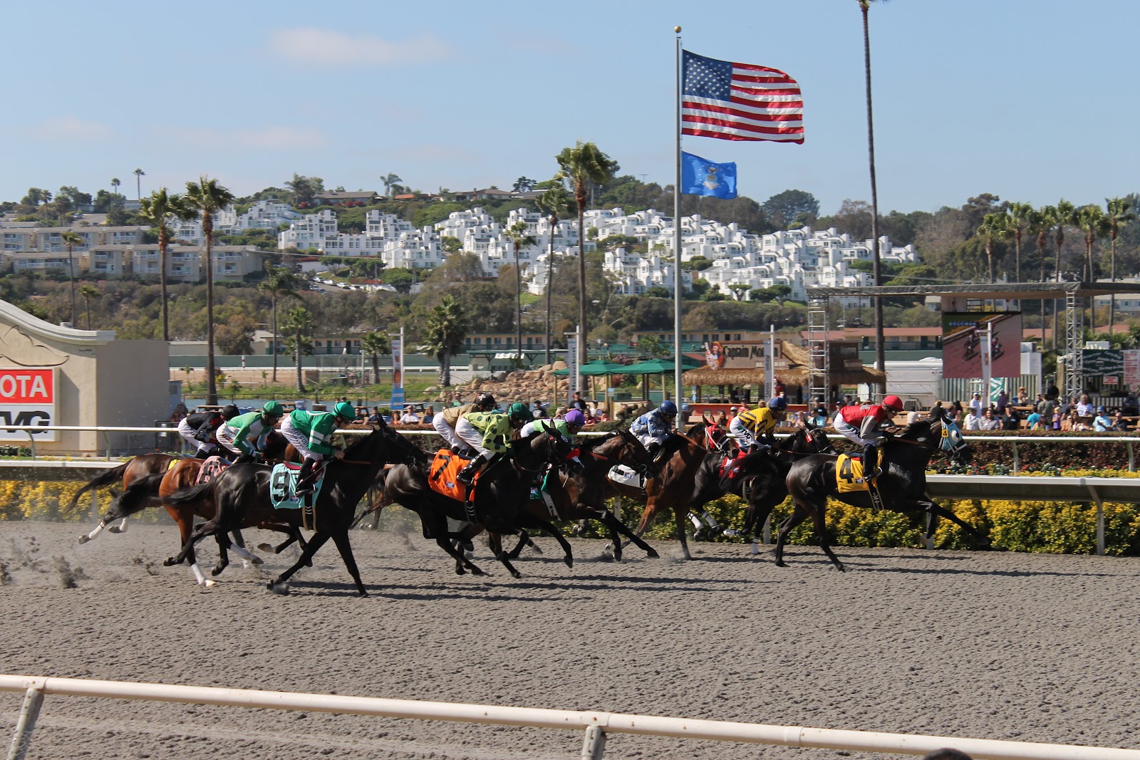 From the Cheap Seats: WHERE THE SURF MEETS THE TURF