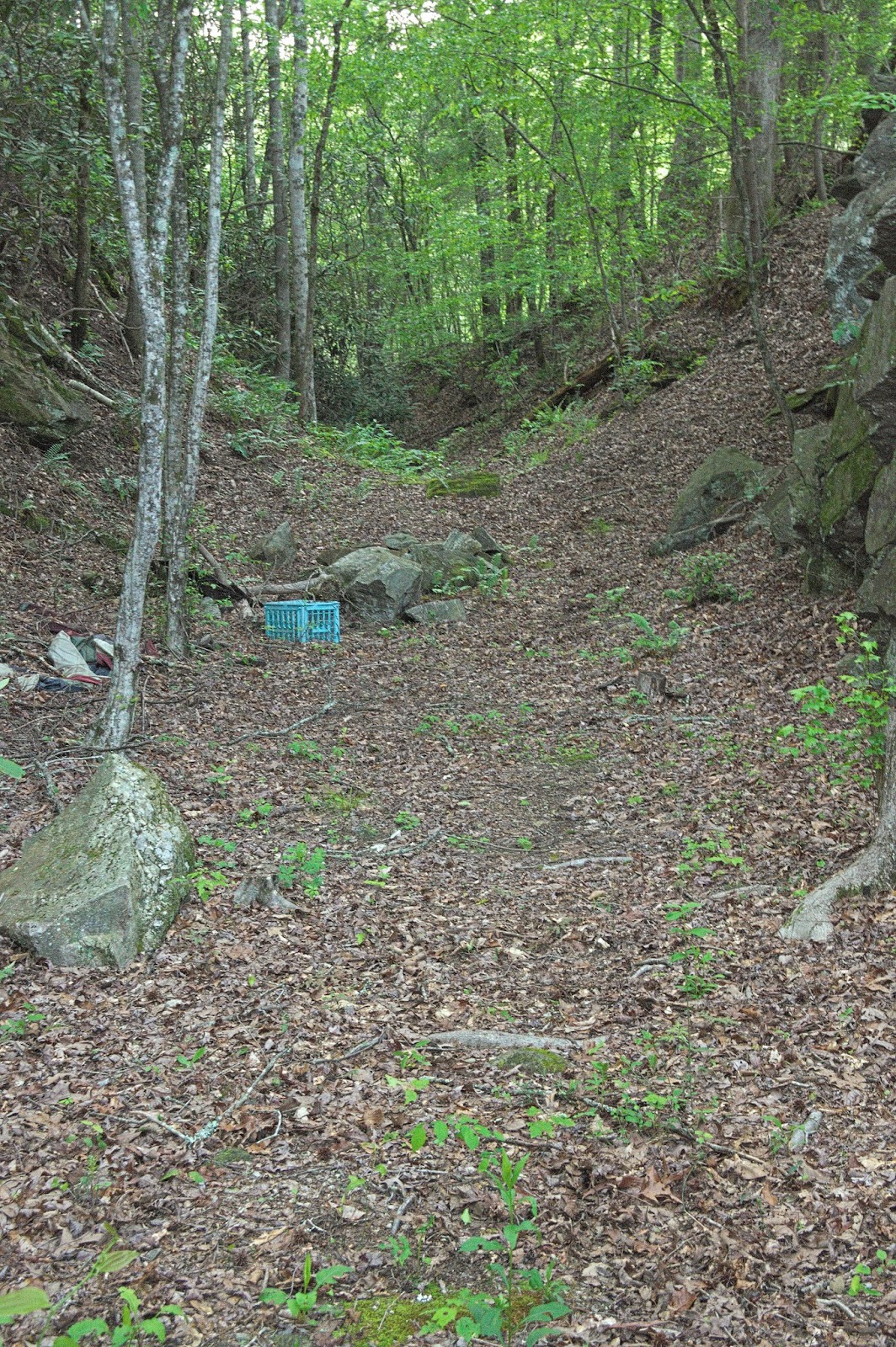 Tracing the Swamp Rabbit Railroad