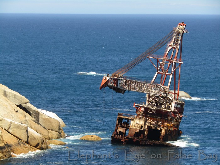 Kanonkop shipwrecks and summer flowers