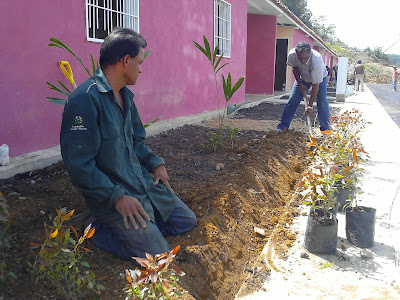 Parque Temático Bosque Macuto