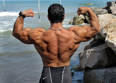 world bodybuilders pictures: araboo bodybuilder ali imrani