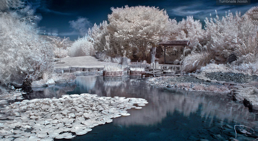 Roie Galitz - Photography | Graphic Design Blog