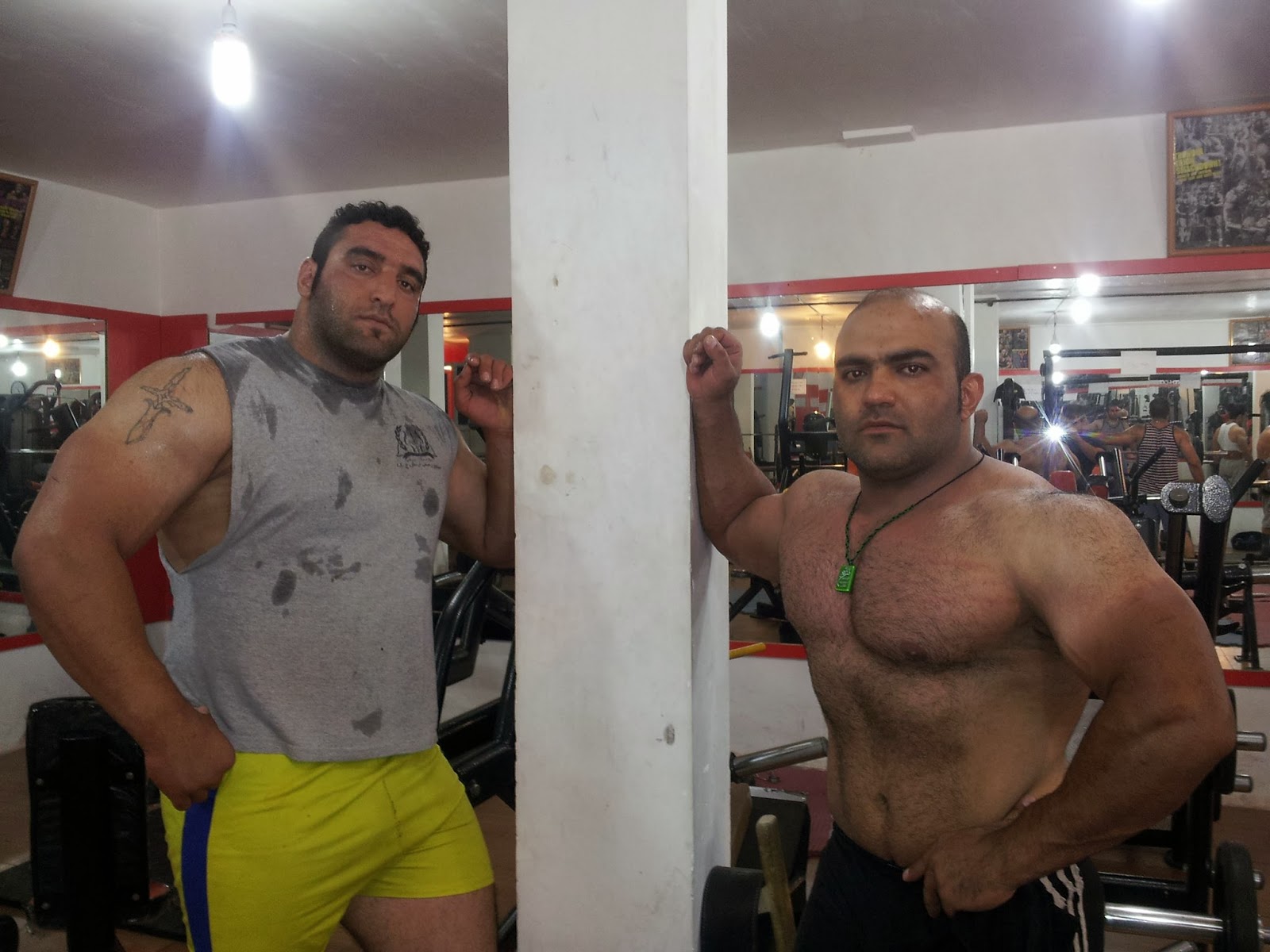 Muscle Lover: Iranian bear