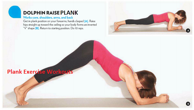 Dolphin Raise Plank Exercise Variations | Plank Exercises Routine ...