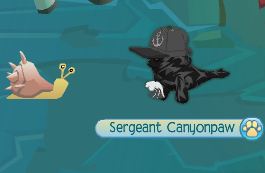 ANIMAL JAM EXPLOSION!!!: Journey Book Hint for Kani Cove