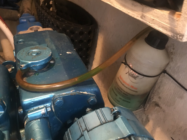 Cat Play: Check / Adjust Engine Coolant Level