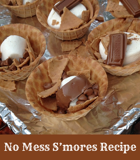 SugarPickle Designs: No Mess Camping Smores!