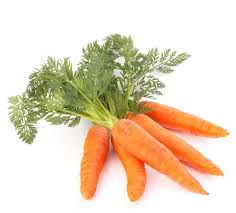 CARROT