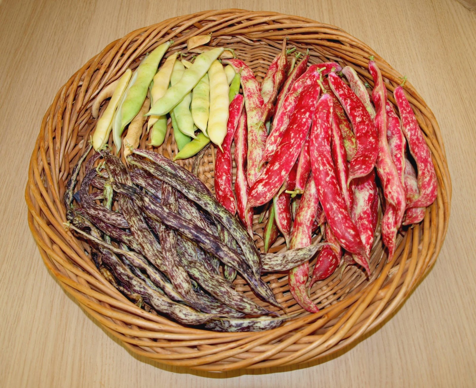 Mark's Veg Plot: Beans galore!