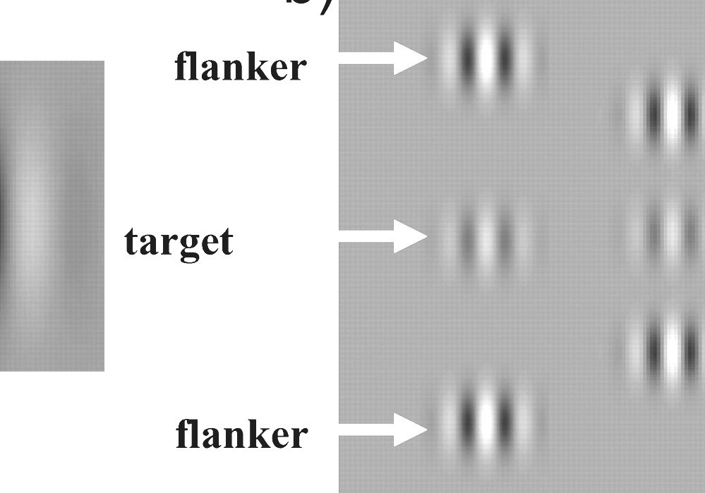 Perceptual Learning - Perceptual Learning Definition