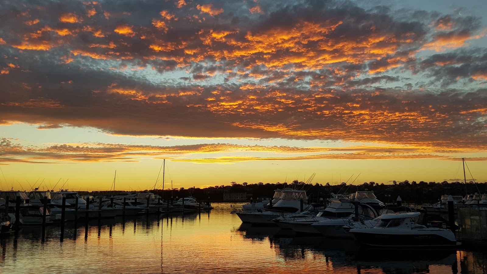 Sydney - City and Suburbs: Sans Souci, marina, sunset