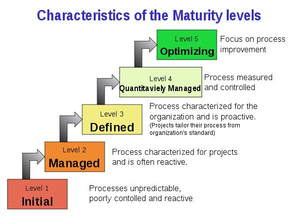 Joy With Me... Irfan Pathan: CMM And ISO 27001