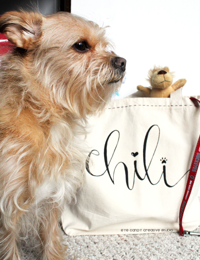 Eye Candy Creative Studio: DIY :: Personalized Doggie Bag