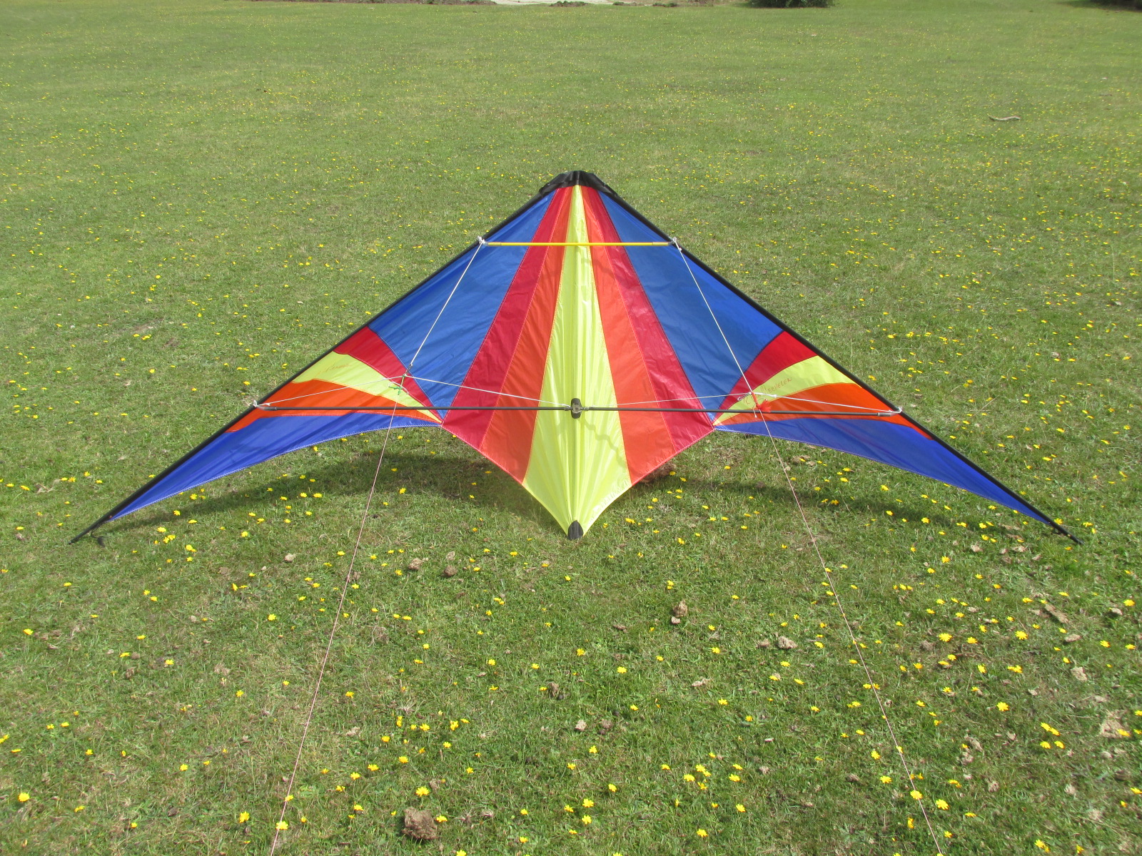 Flying Fish Kiting Team: The Berrington Hoard