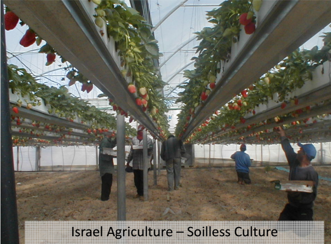 Sustainable Development: Israeli Agriculture, Modern and High Tech