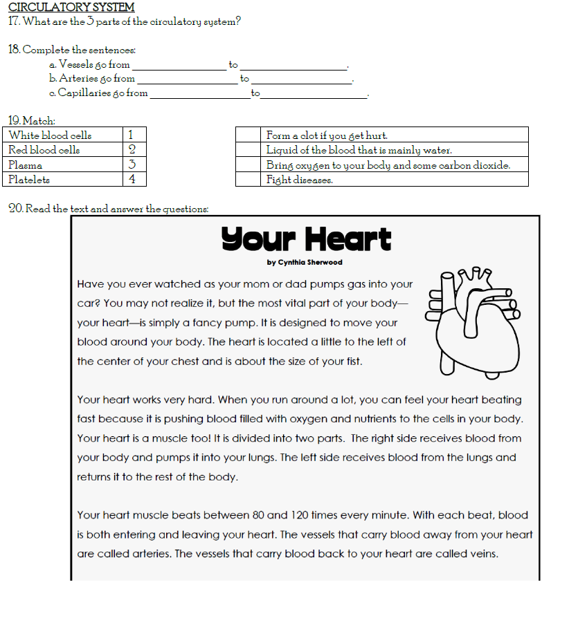 Natural Science 6 grade: 4. CIRCULATORY SYSTEM