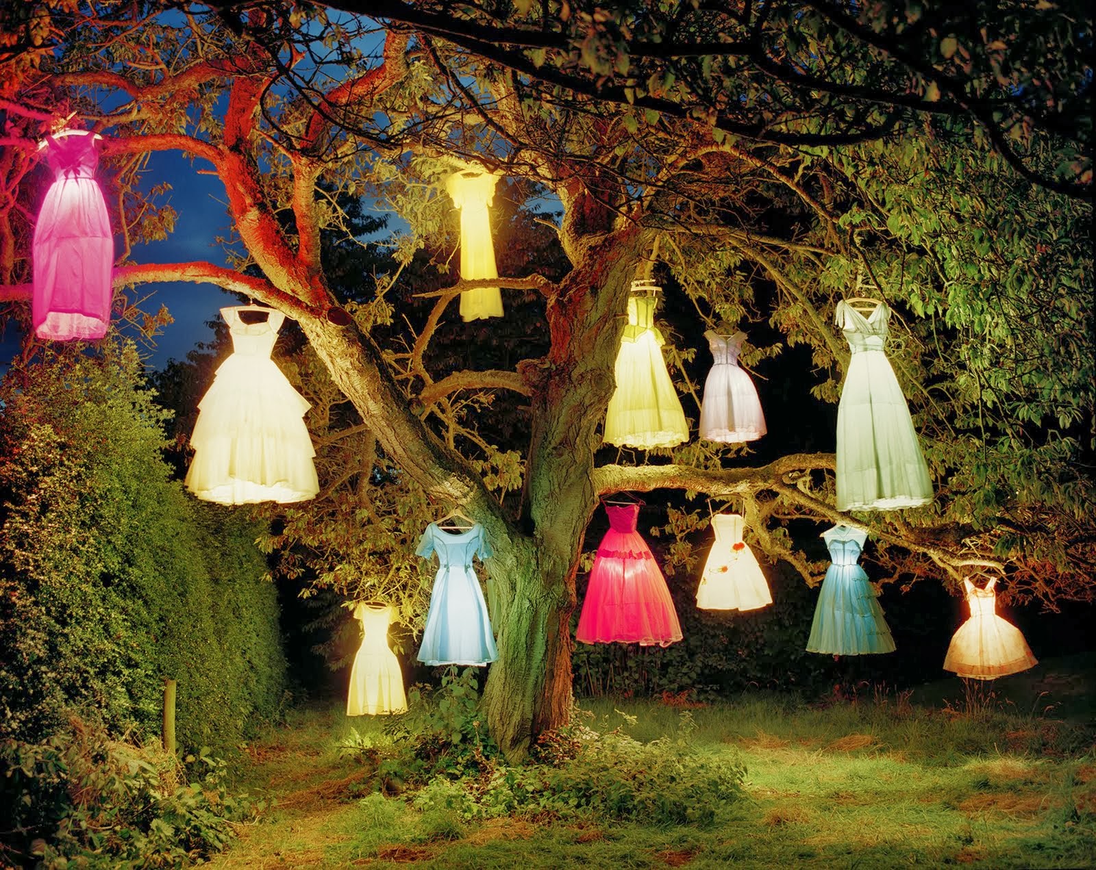 Bex Rox London: Tips and Tricks- Tim Walker: A Retrospective