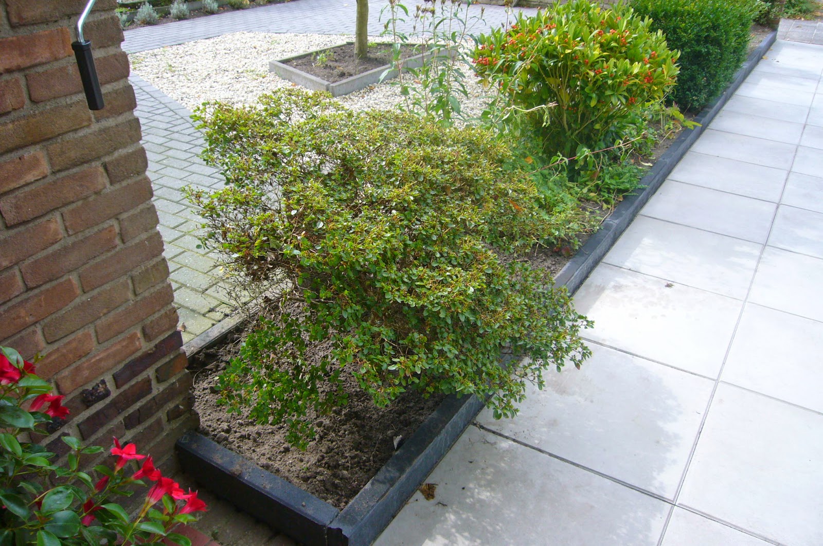 Alieke's Corner: Voortuin veranderen deel 4