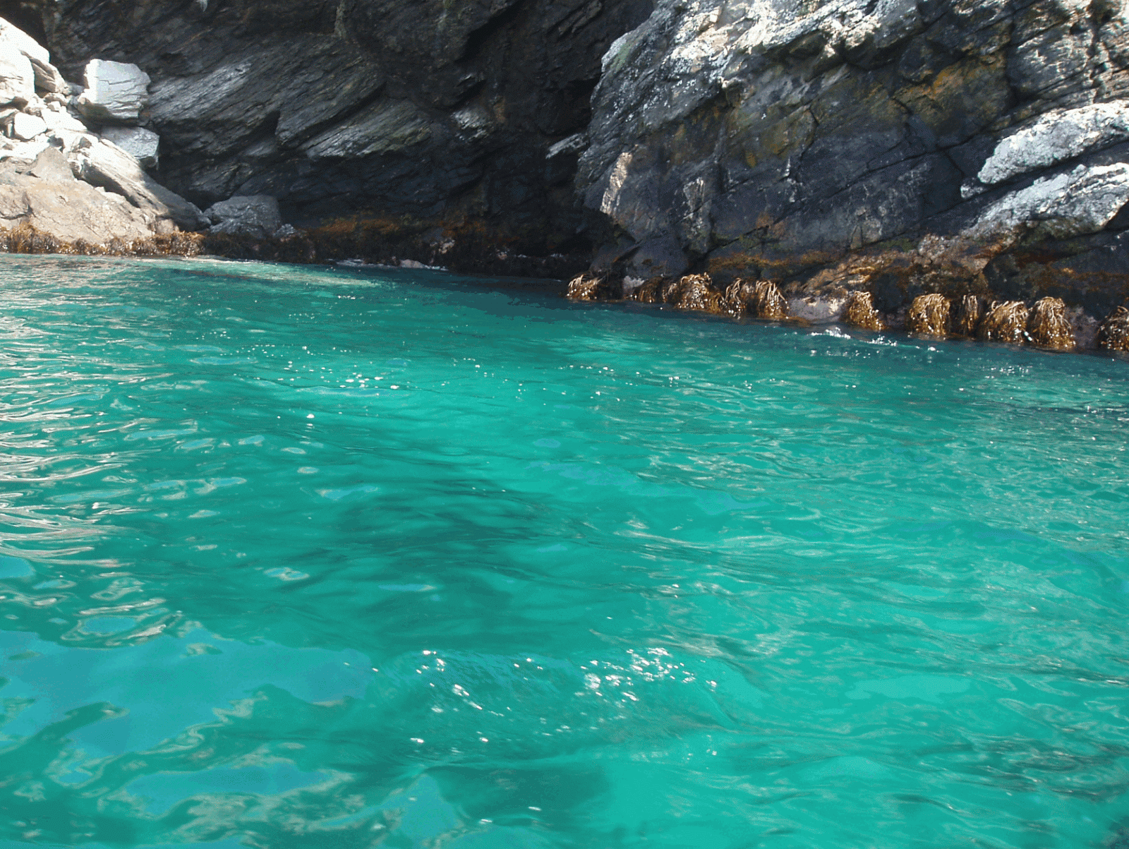 Chile país hermoso.: Punta de Choros.