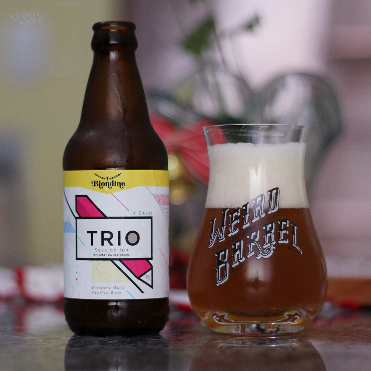 Rock'n Hops: Trio, ABC da Cerveja + Cervejaria Blondine