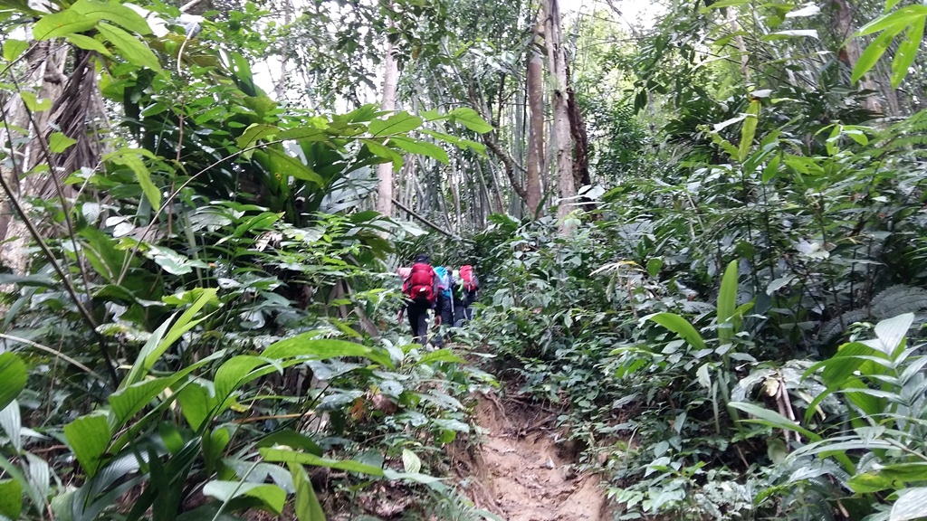 TRAVELOG: GUNUNG ULU SEPAT : Jangan Lupa Bergambar di Hutan Lumut yang ...