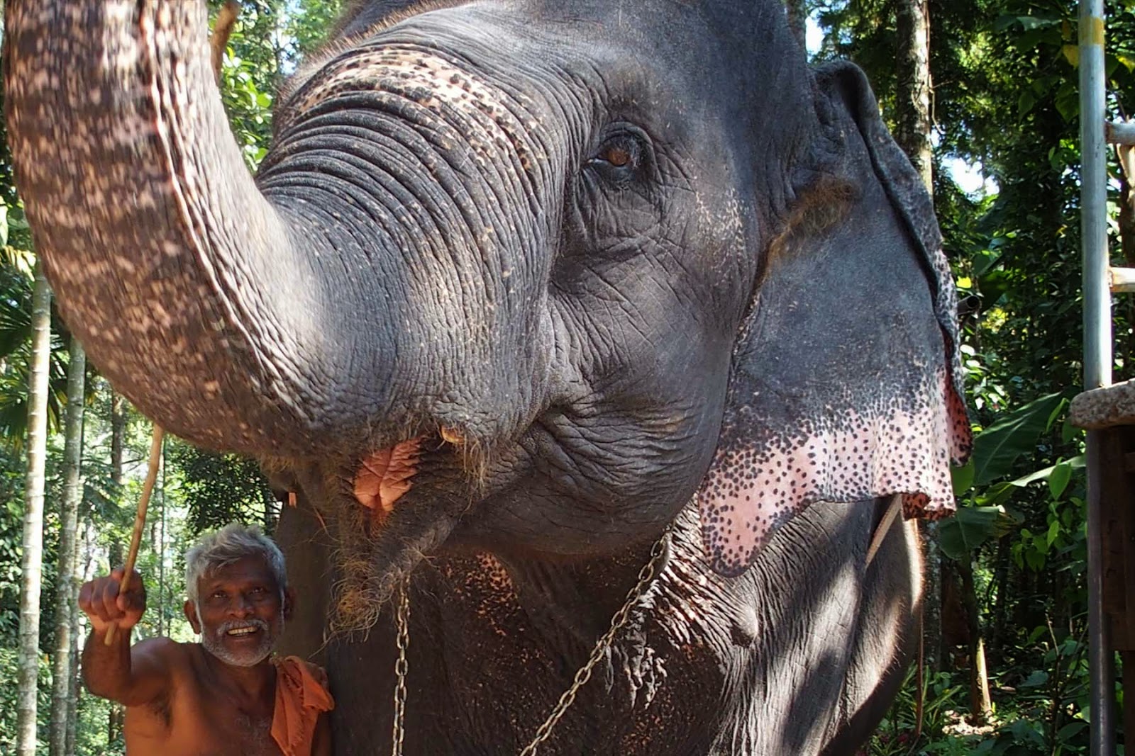 Inde du Sud 01•15: J10, 22 janvier, de Periyar à Teekoy