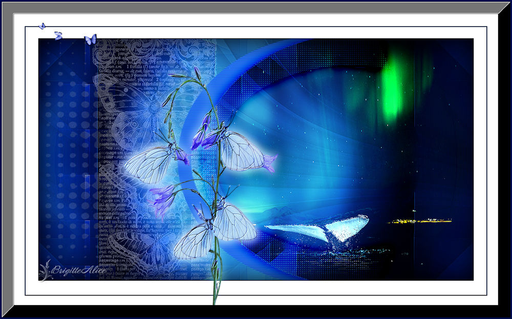 Le blog de Libellule: Morpho bleu