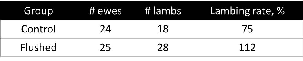 Shepherd's Notebook: Flushing range ewes
