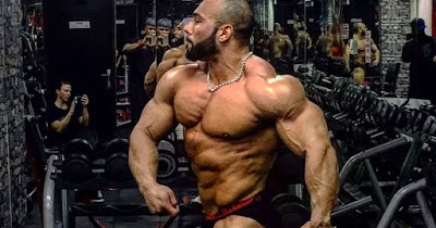 world bodybuilders pictures: sweden bodybuilder Samir Troudi