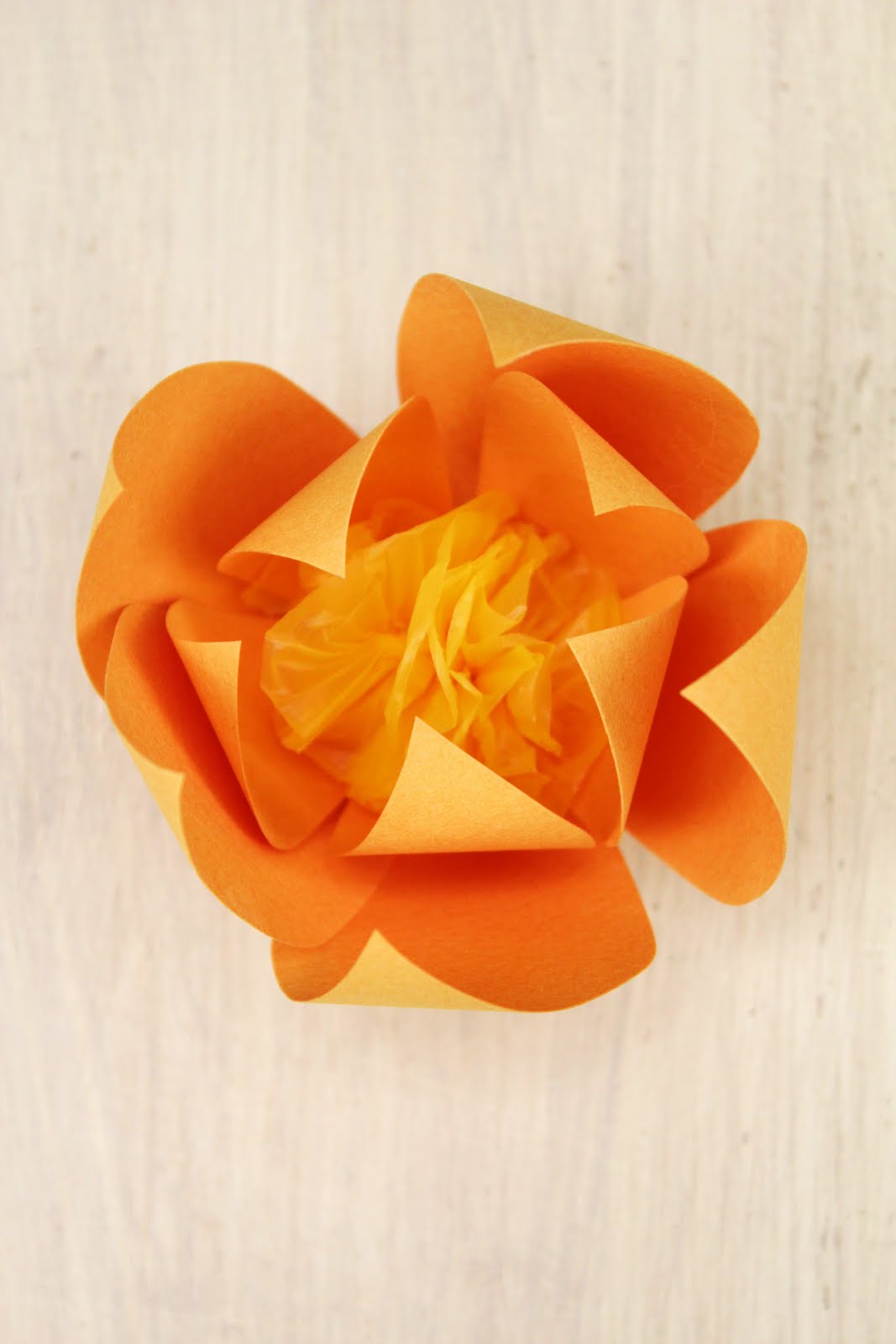 Icing Designs: DIY Paper Flowers