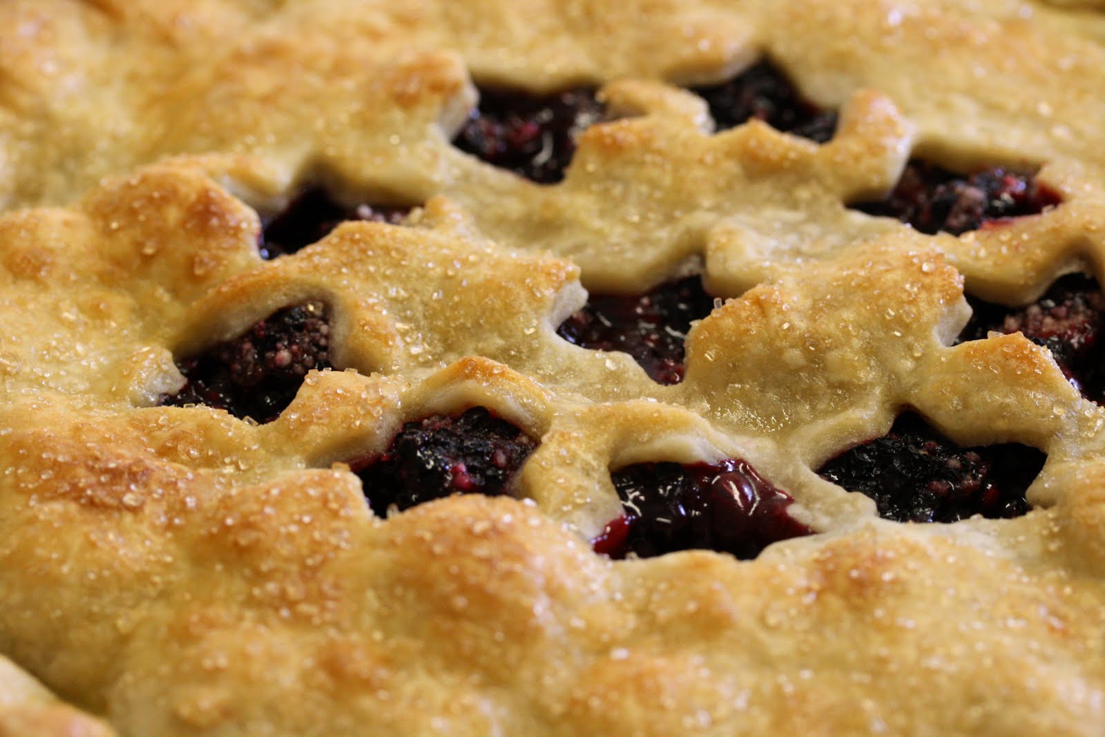 No. 26 - Blackberry Pie - Saving Room for Dessert