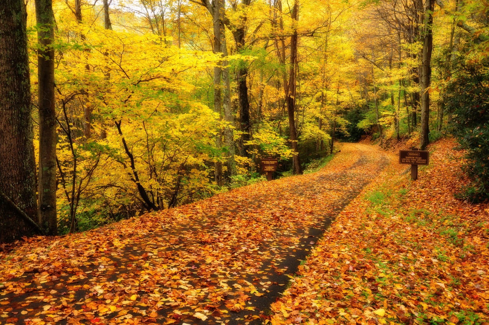 Discover West Virginia: Autumn Colors at Babcock: Places beyond the Mill