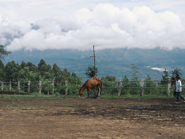 WEEKEND STORY #12: WISATA BERKUDA MEGASTAR (PERHUTANI), BATU - Nina ...