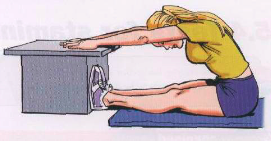 BRISTOL EN FORMA: Fitness test