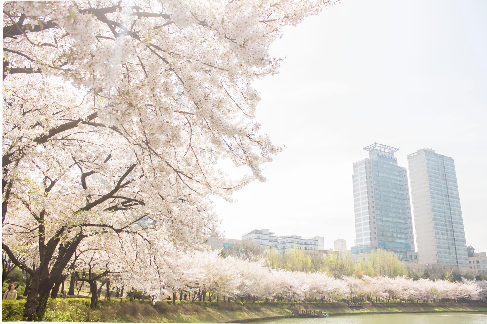 Seoul Travel Guide 2021: Best Spring Destinations in South Korea | The ...