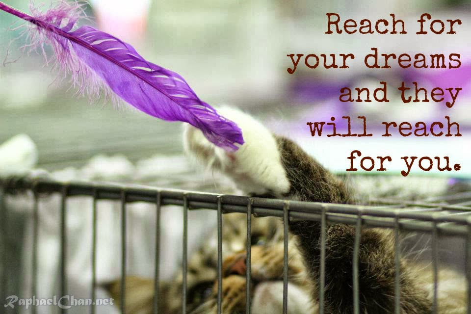 Reach For Your Dreams