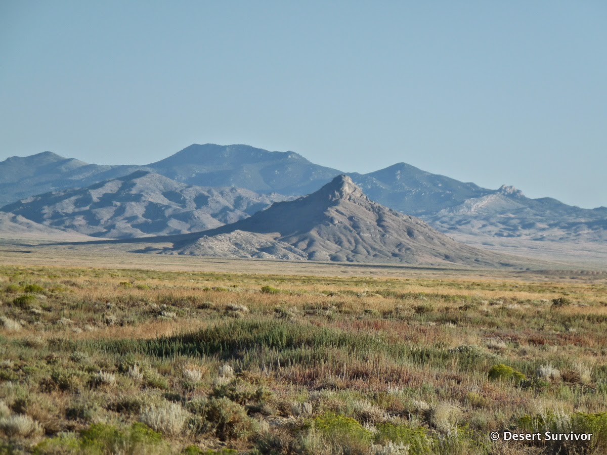 Desert Survivor: Gandy Warm Springs, Millard County, Utah